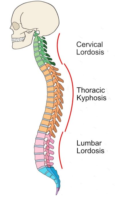 Neck Curve Misalignments - Back Care Clinic